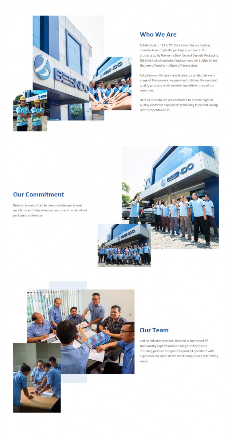 BESINDO WEBSITE DESIGN SURABAYA JAKARTA - Portfolio Mark Design - Jasa ...